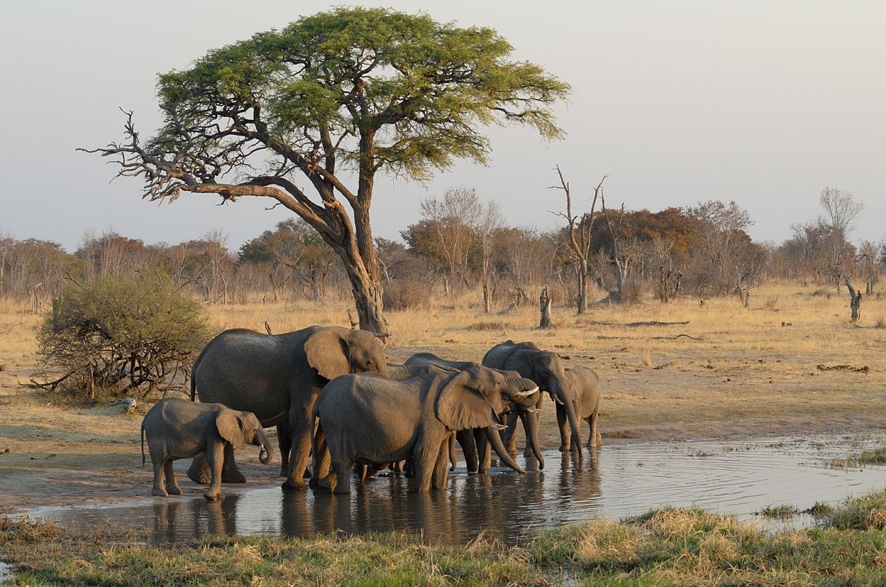 5 lugares que no te puedes perder en Zimbabwe