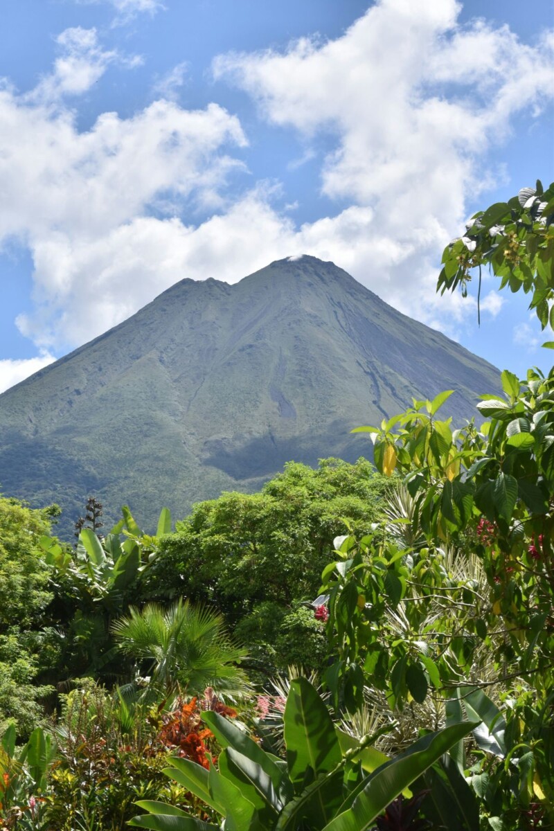ANIMALES DE COSTA RICA I